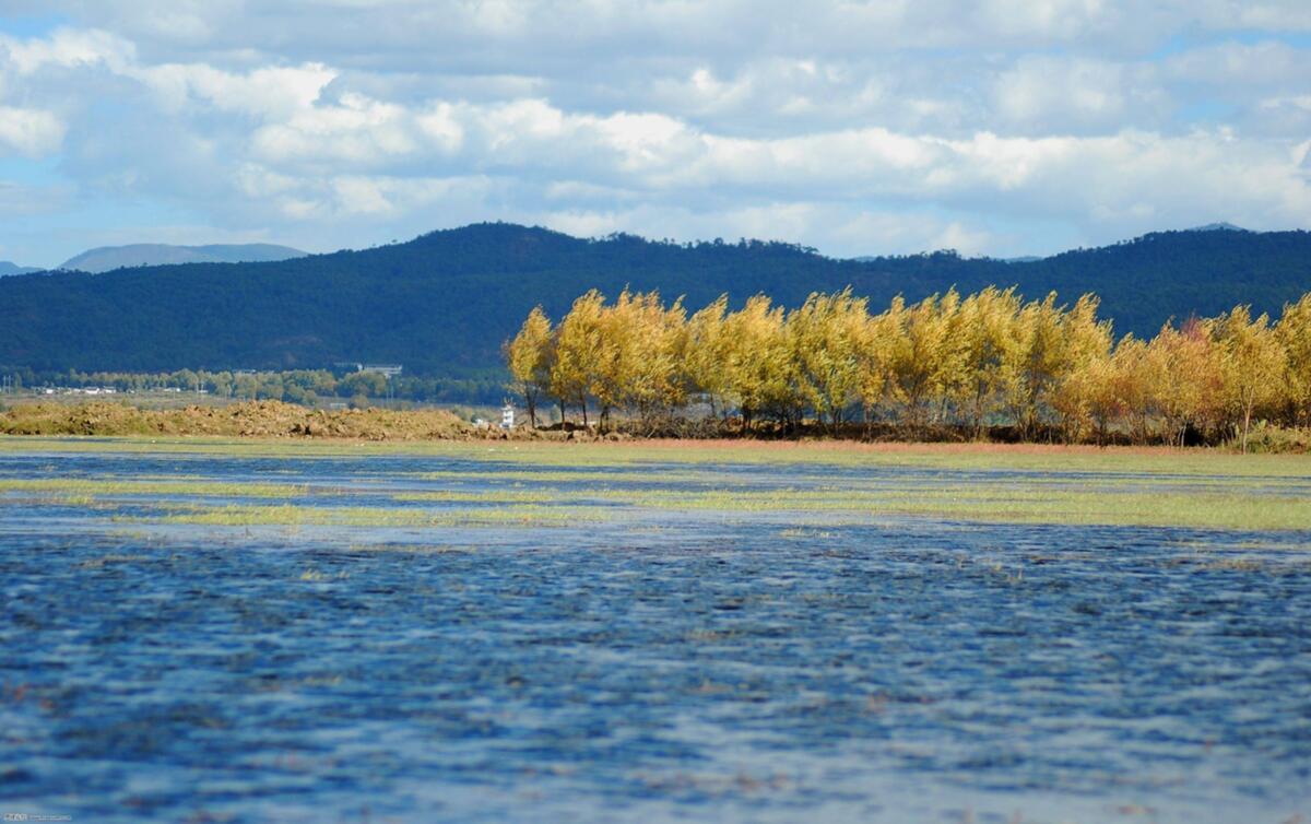 Lashi Lake | Destination Lijiang